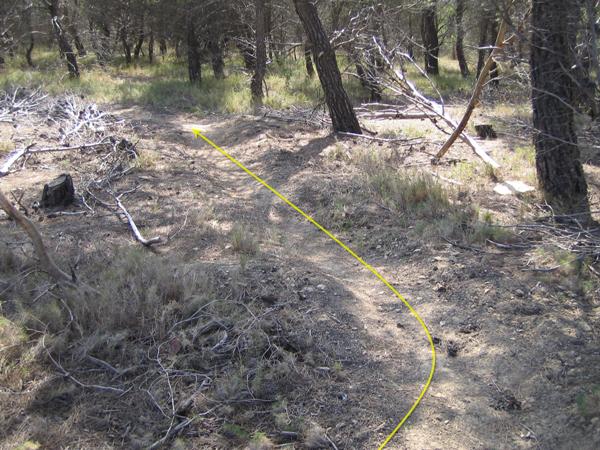 Travesia lodosa (Rutas Navarra / Napar Bideak)