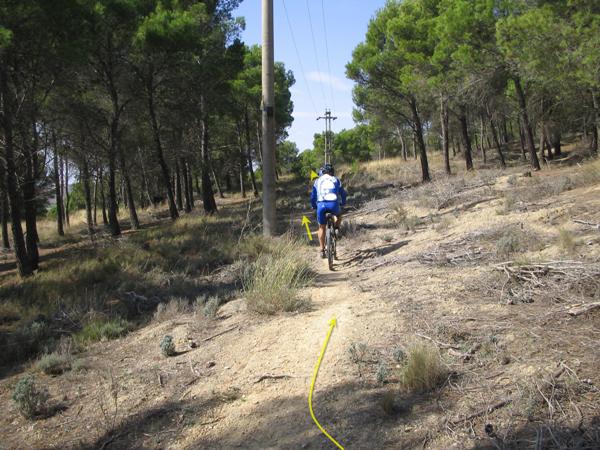 Travesia lodosa (Rutas Navarra / Napar Bideak)