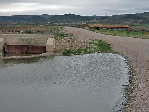 Aibar Humedal de la balsa de La Mueda (Rutas Navarra / Napar Bideak)