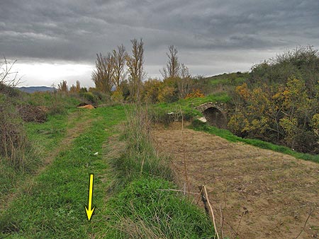 Aibar Humedal de la balsa de La Mueda (Rutas Navarra / Napar Bideak)