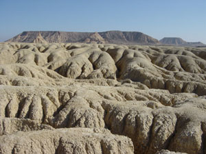 Barranco Grande de las Limas (Bardena Blanca) (Rutas Navarra / Napar ...
