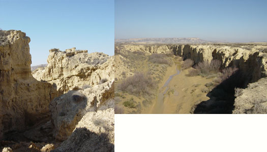 Barranco Grande de las Limas (Bardena Blanca) (Rutas Navarra / Napar ...