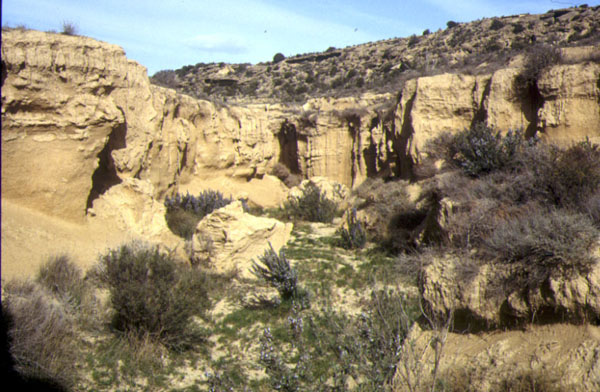 Barranco Grande de las Limas (Bardena Blanca) (Rutas Navarra / Napar ...